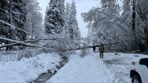 Pacific Power restores service to most customers